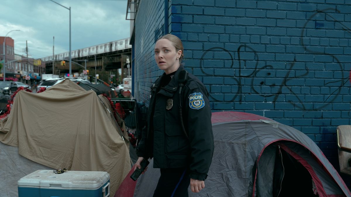 Peacock's Newest Release Is Amanda Seyfried's Crime Show That Deserves ...